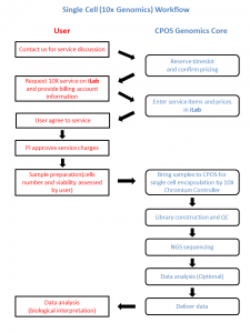 Single Cell (10X Genomics) – Centre for PanorOmic Sciences (CPOS)