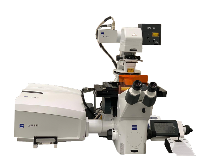 Imaging Equipment – Centre for PanorOmic Sciences (CPOS)