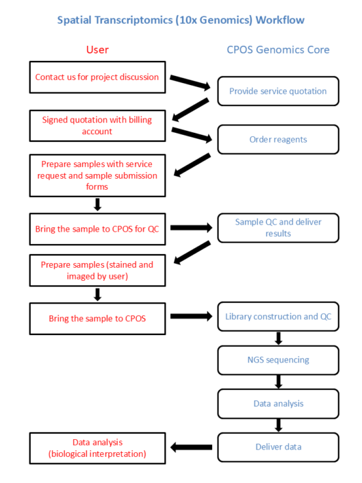 Spatial Transcriptomics (10X Genomics) – Centre for PanorOmic Sciences ...